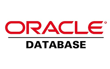 Setting the NLS_LANG Environment Variable for Oracle Databases